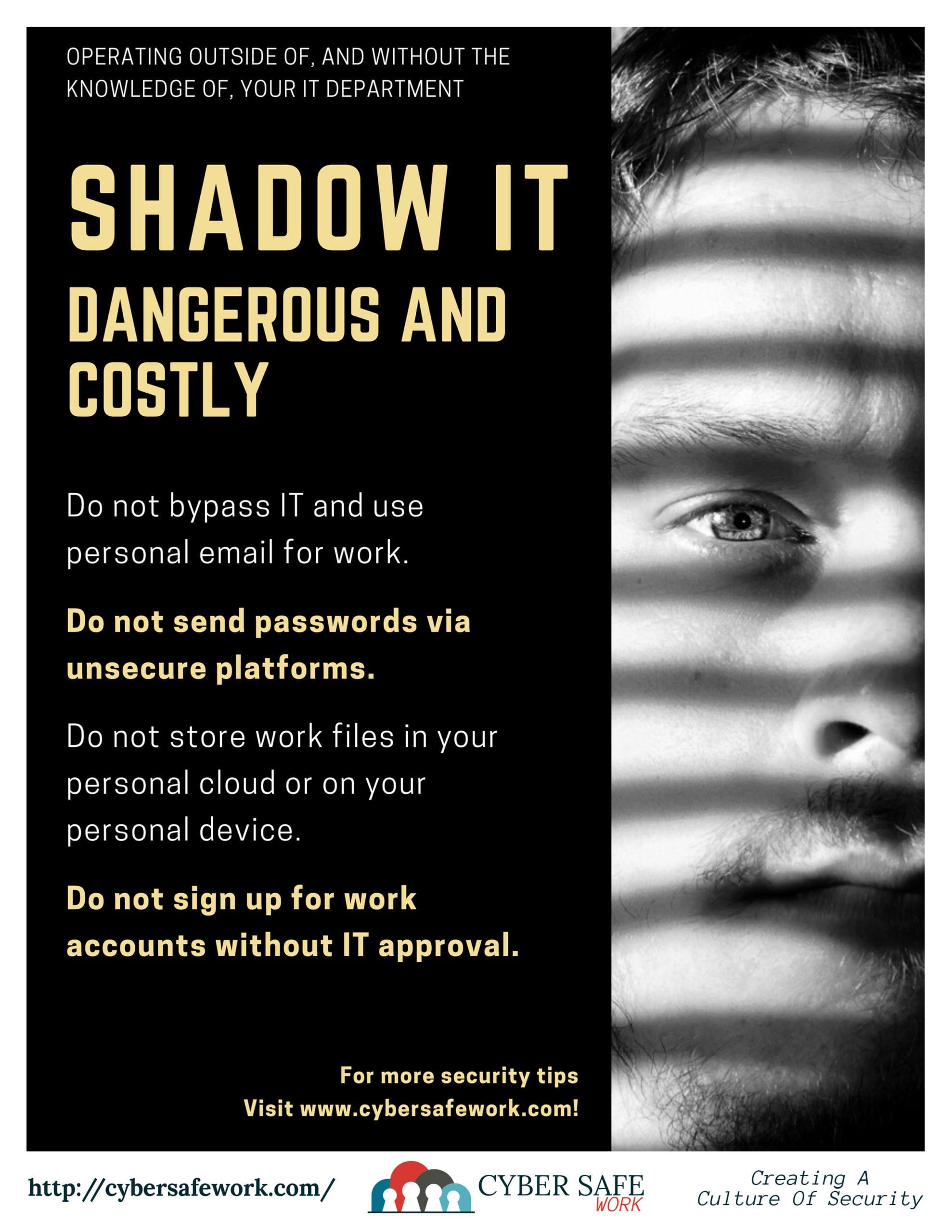 Shadow IT - Dangerous And Costly | CourseVector